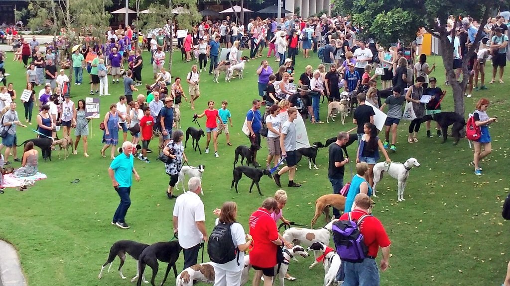 Greyhound racing: National rallies call for end to sport following live ...