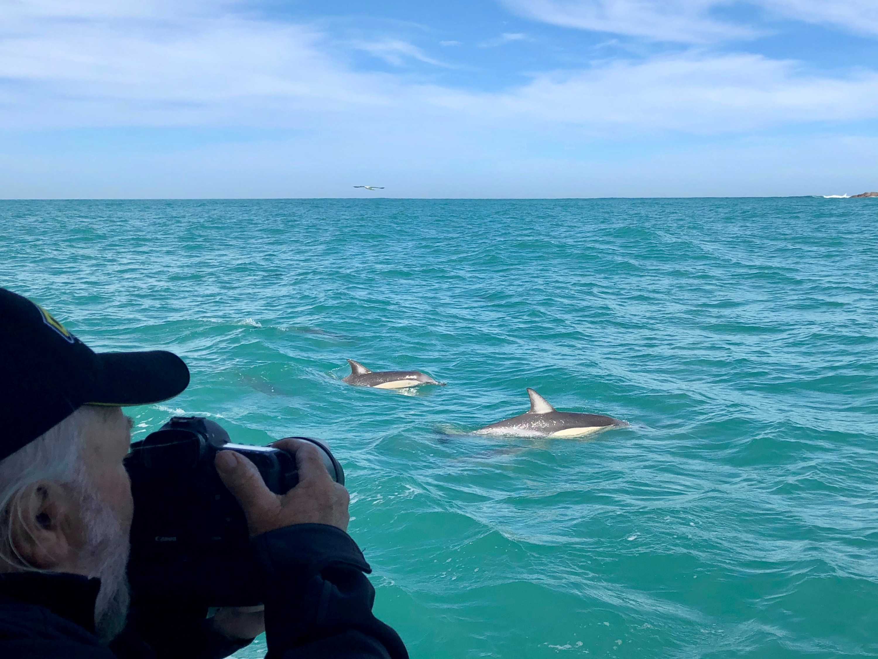 Retired couple capturing a treasure trove of data on Australia's ...