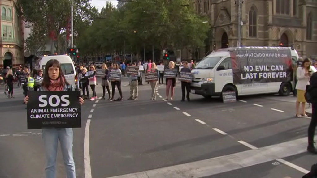 Animal rights activists block busy Melbourne intersection - ABC News