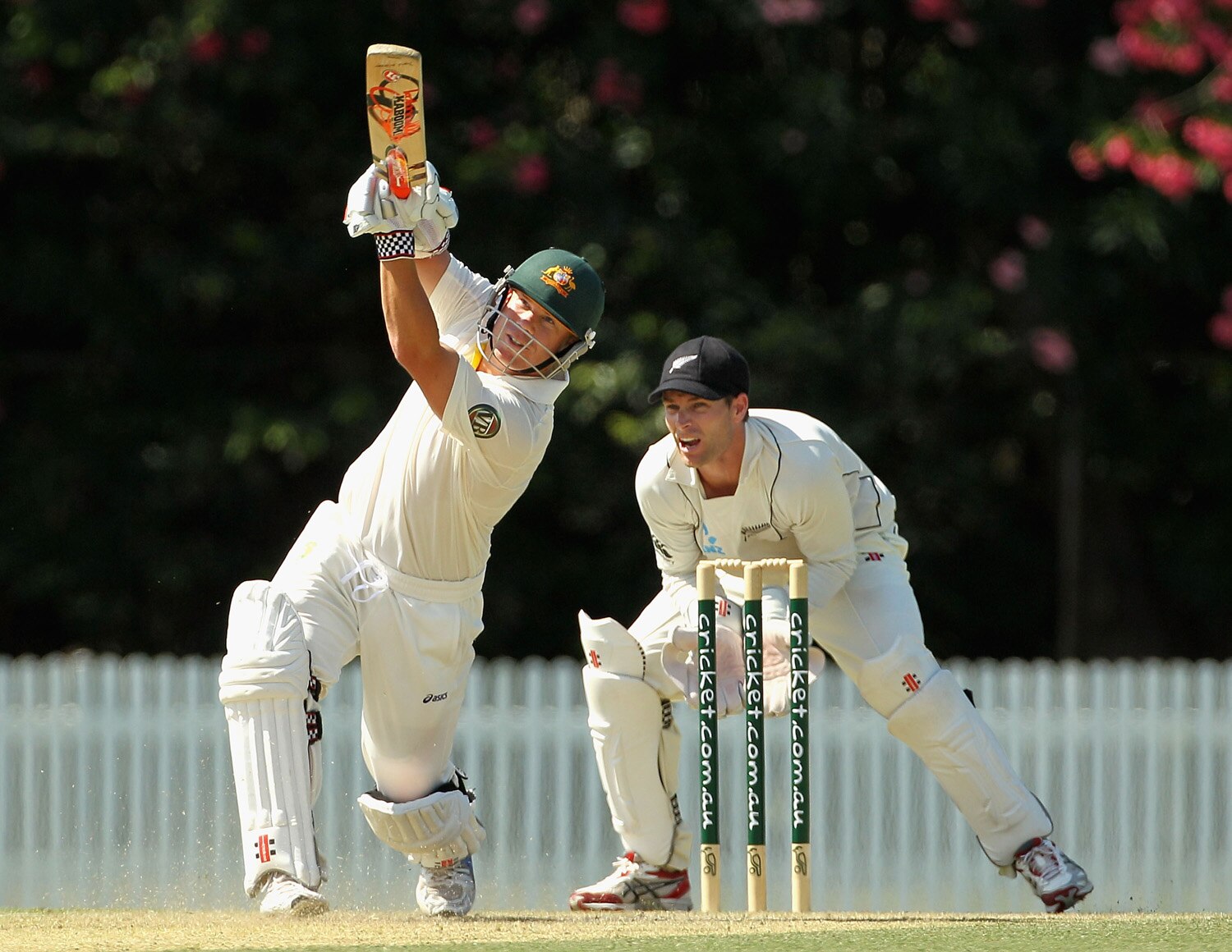 Warner steps up to grab Test chance - ABC News