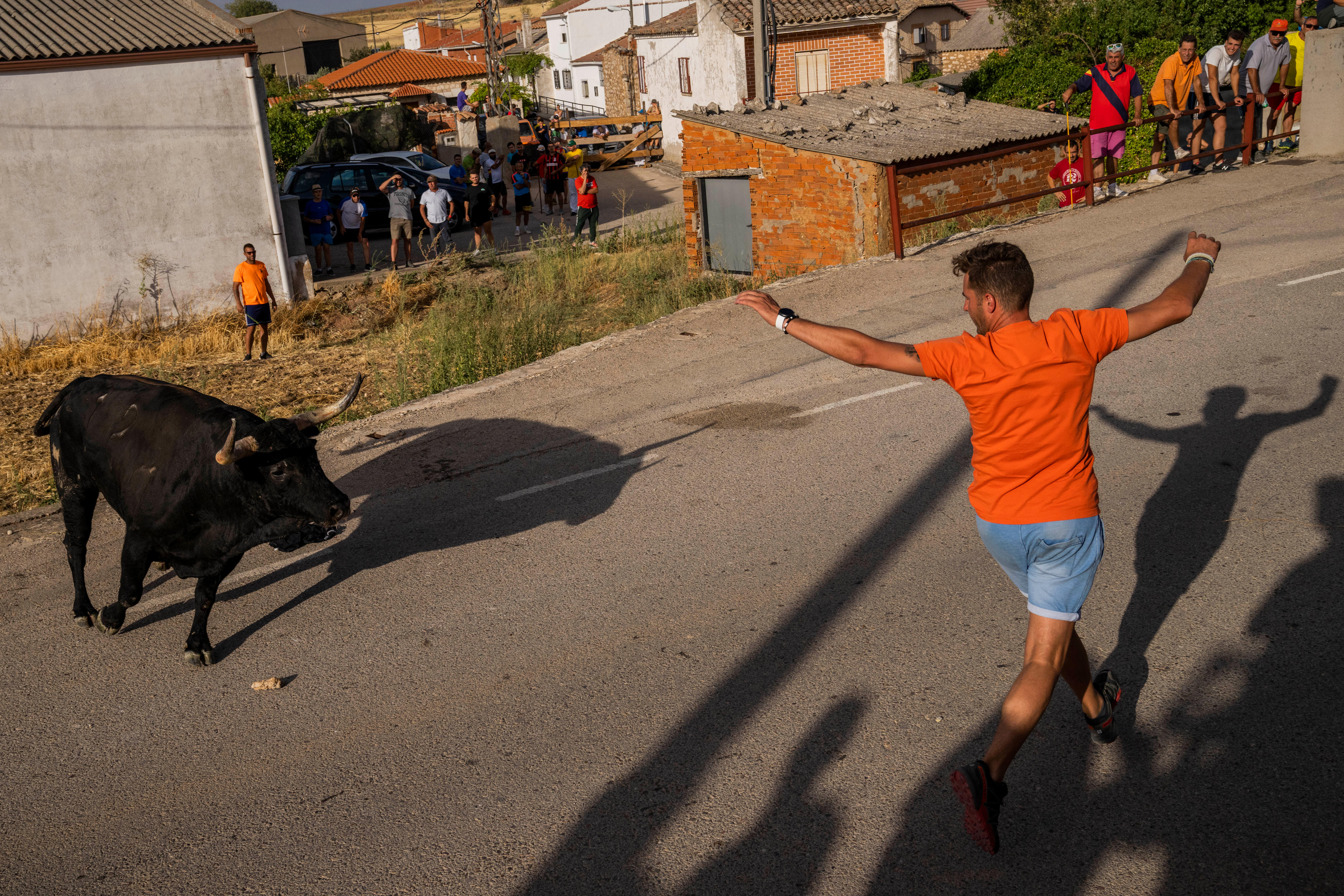 Spain's bull runs in the spotlight amid high number of participant ...