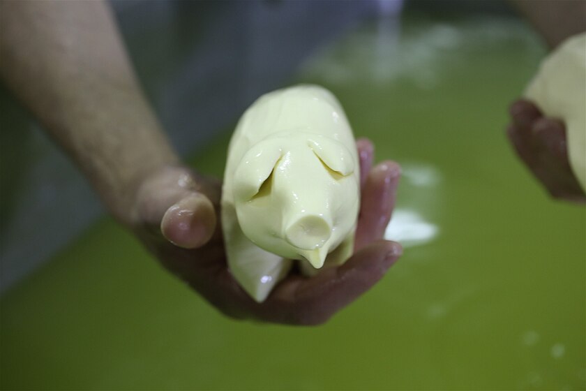 Mozzarella cheese - ABC Everyday