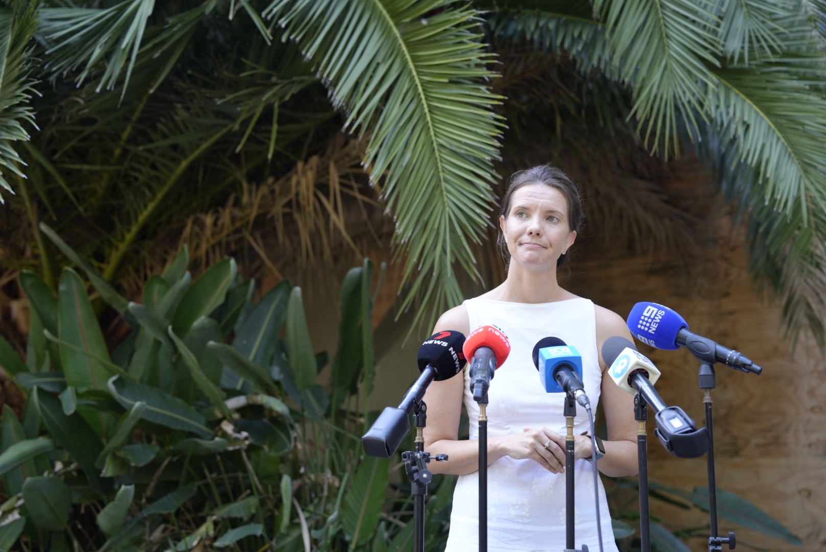 NSW minister Rose Jackson says she should have spoken up about Jo ...