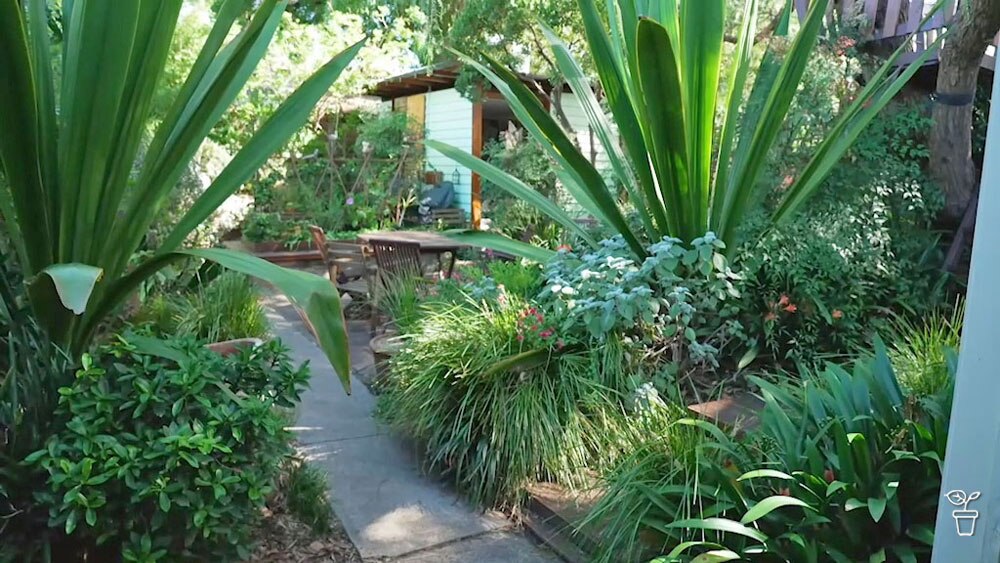 Block to Bush - Gardening Australia