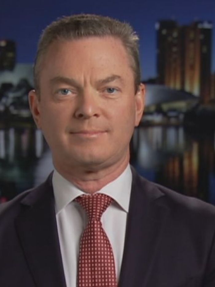 Interview: Christopher Pyne - ABC News