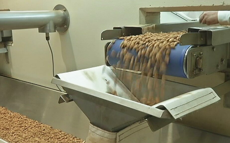 SA Riverland almond industry booming on back of gluten-free trend ...