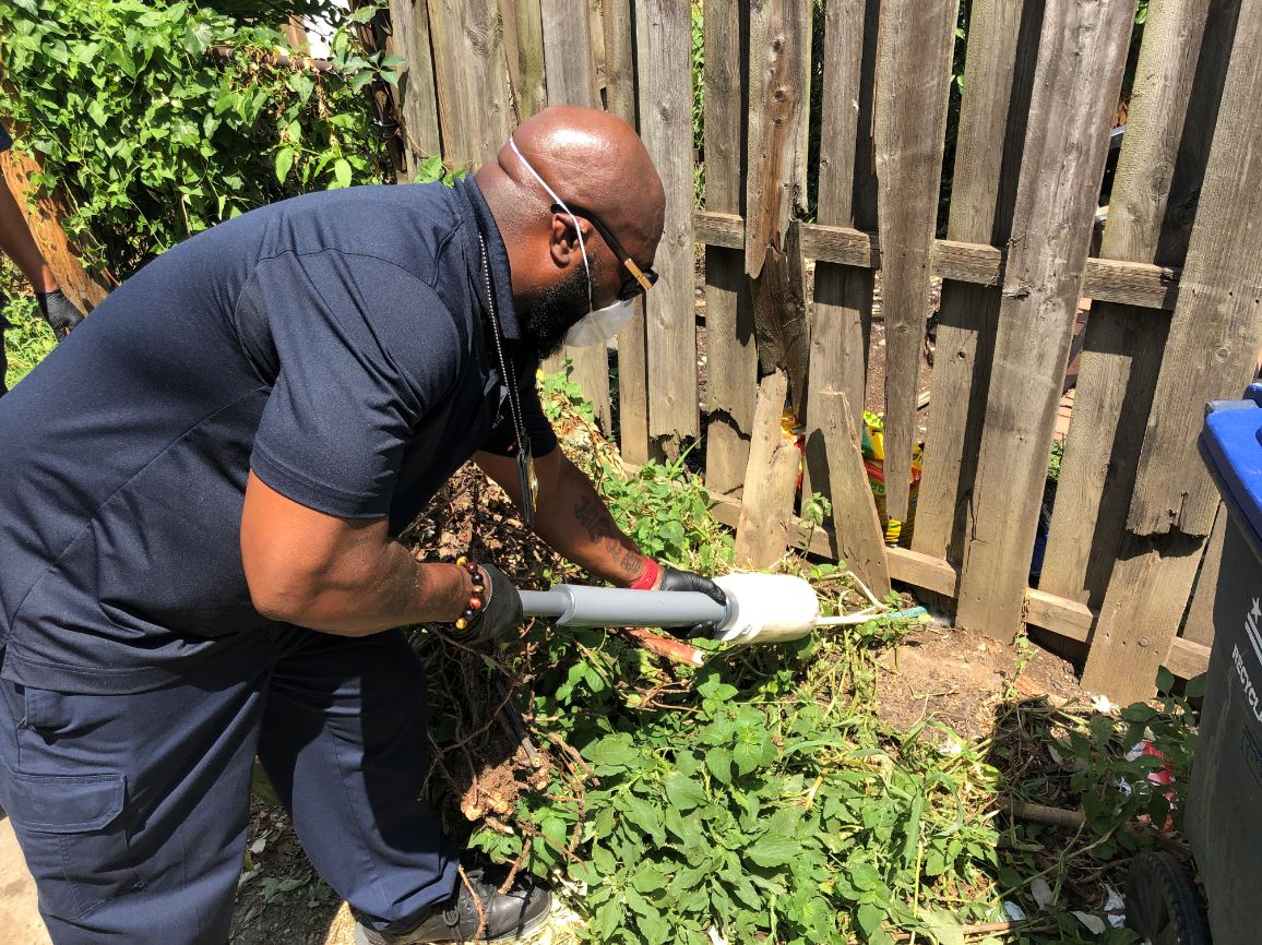 Donald Trump says Baltimore is 'rat and rodent infested' but his White ...