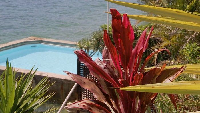 Harbourside Perfection - Gardening Australia