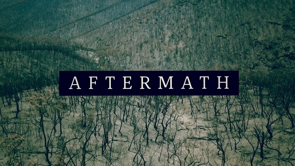 What the future looks like for people affected by summer's bushfires ...