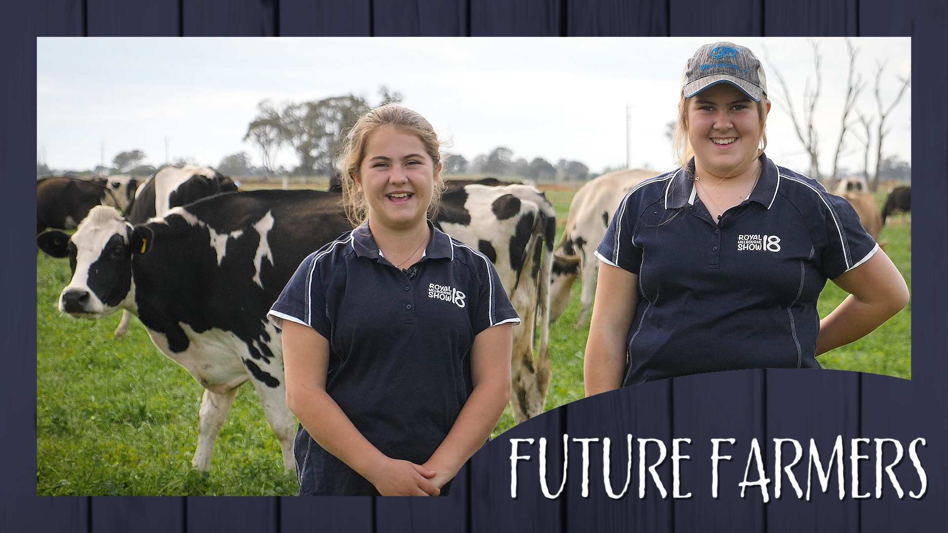 Dairy farming and how milk is made - ABC Education