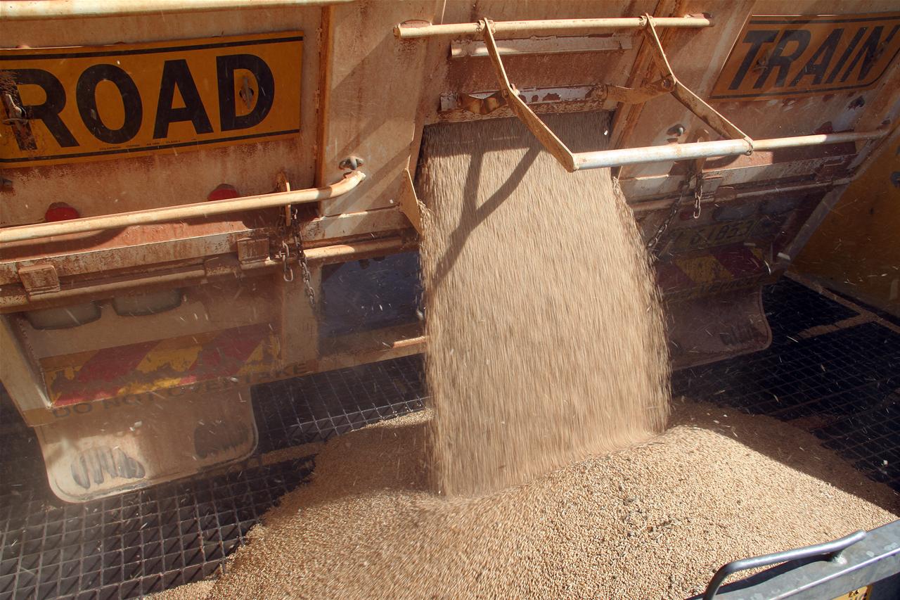 Toxic gas found in grain deliveries - ABC News