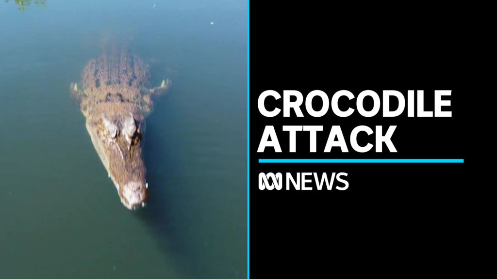Images Of Crocodile Attacks