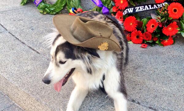 Thousands commemorate Anzac Day at marches and services across South ...