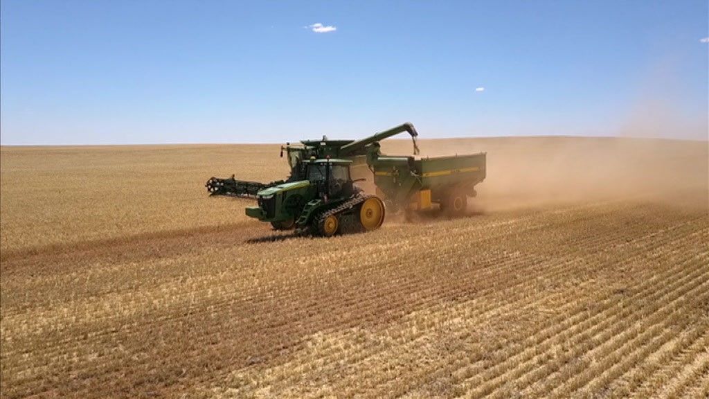 Collaborative Farming: redefining family farming - ABC News