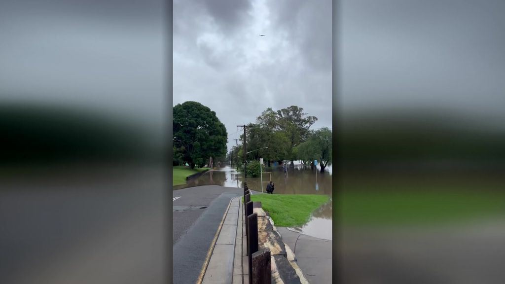 Floodwaters at Riverside Park in Raymond Terrace - ABC News
