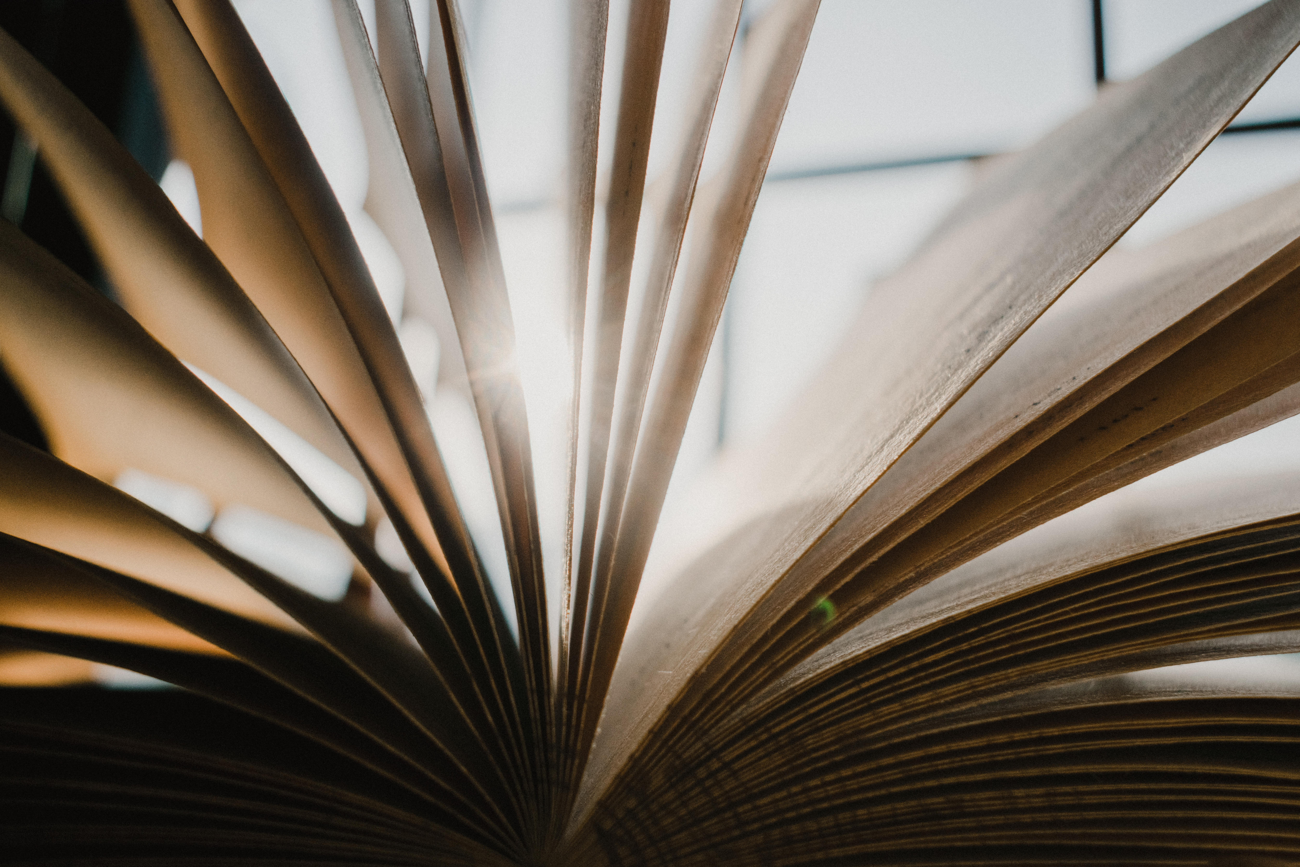 Soul Search with Dr Meredith Lake - ABC listen