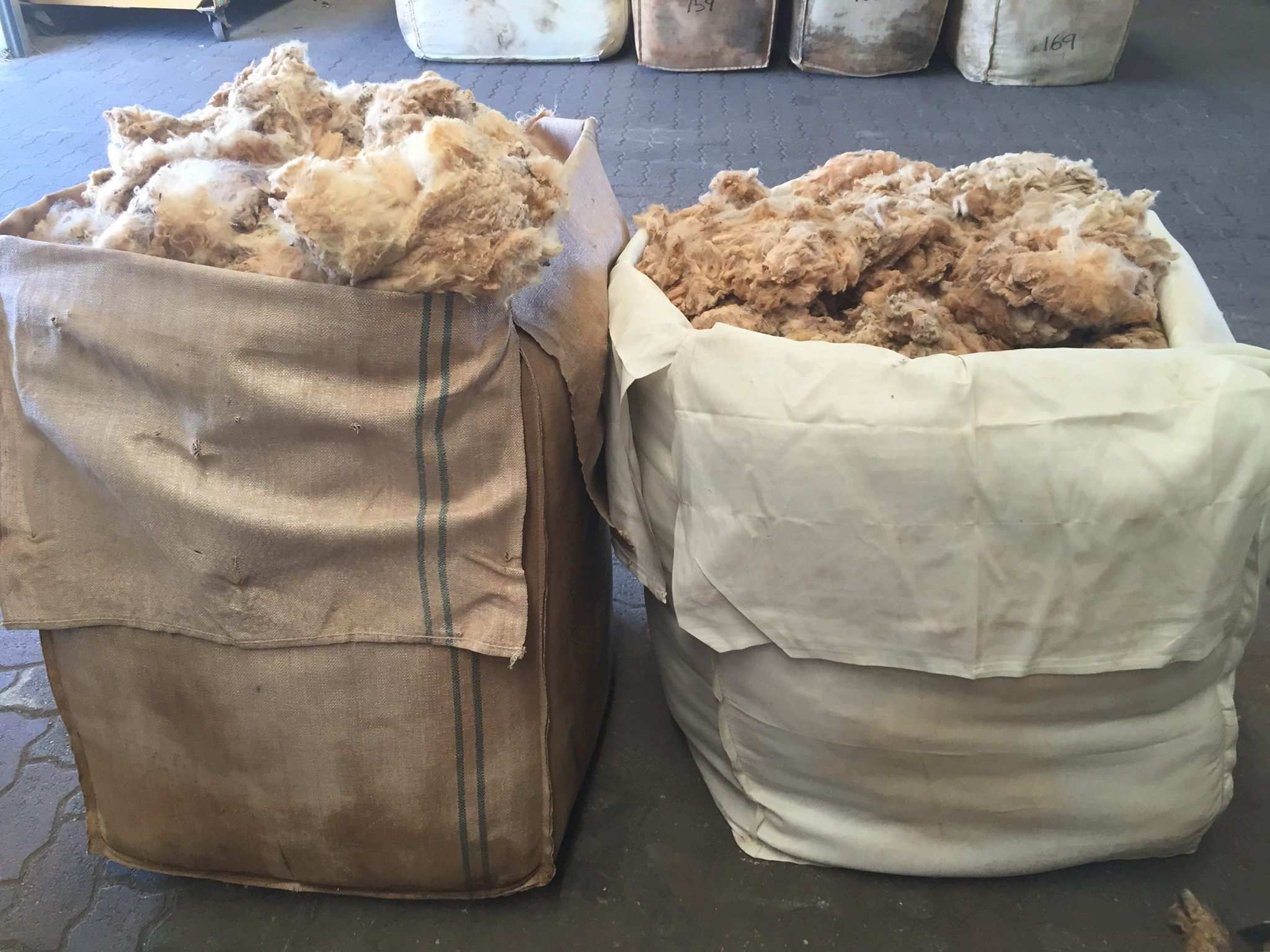 Wool from 1980s back on market as wool broker picks up rare find in ...