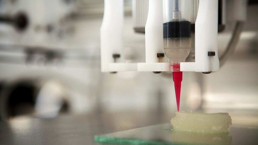 3D printers on track to print body parts - ABC News