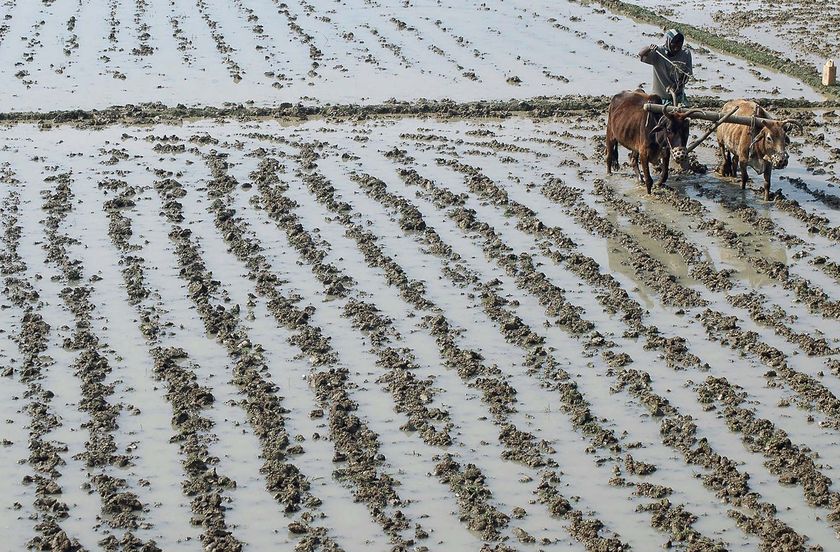 Flawed focus drove Doha talks to collapse - ABC News