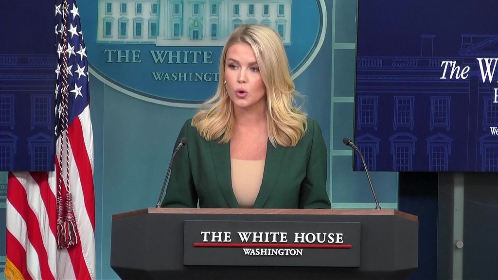 White House labels Signal chat breach a 'sensationalised' story - ABC News