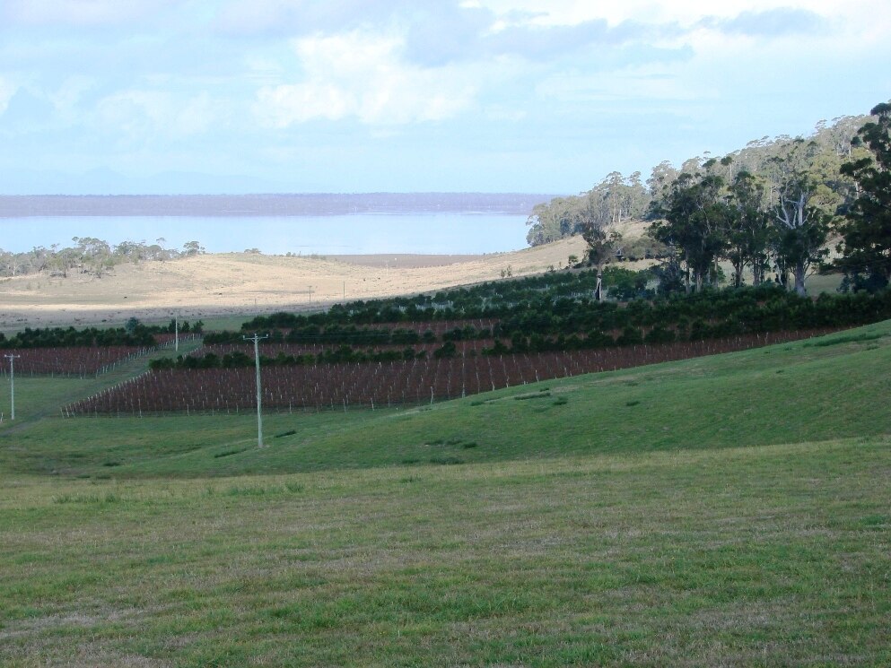 Brown Brothers to build a new cellar door at its East Coast vineyard in ...