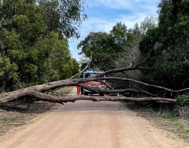 Victoria's newest tree changers are put on notice by the SES — be ...