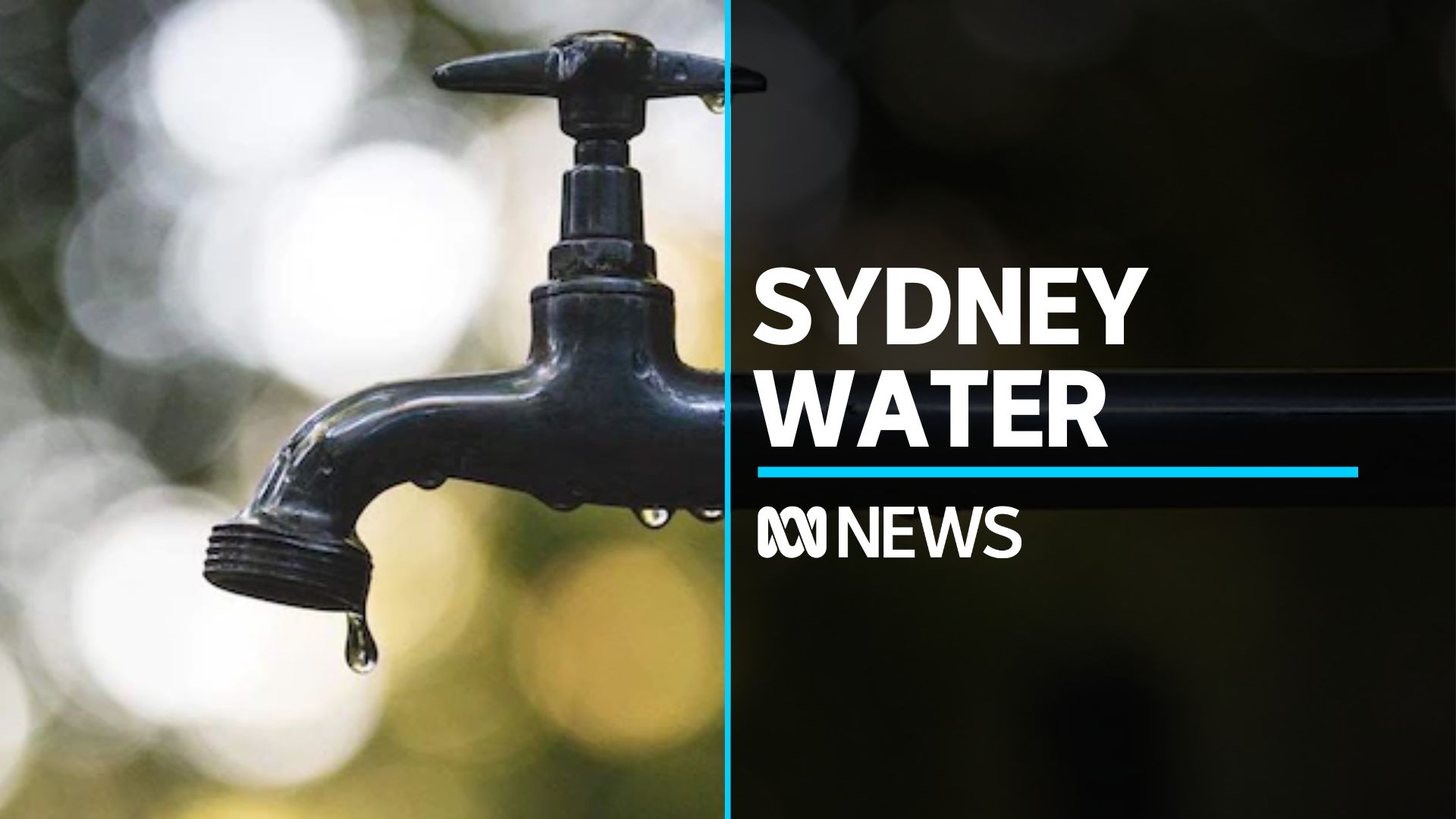 Sydney Water urges residents to reduce usage - ABC News