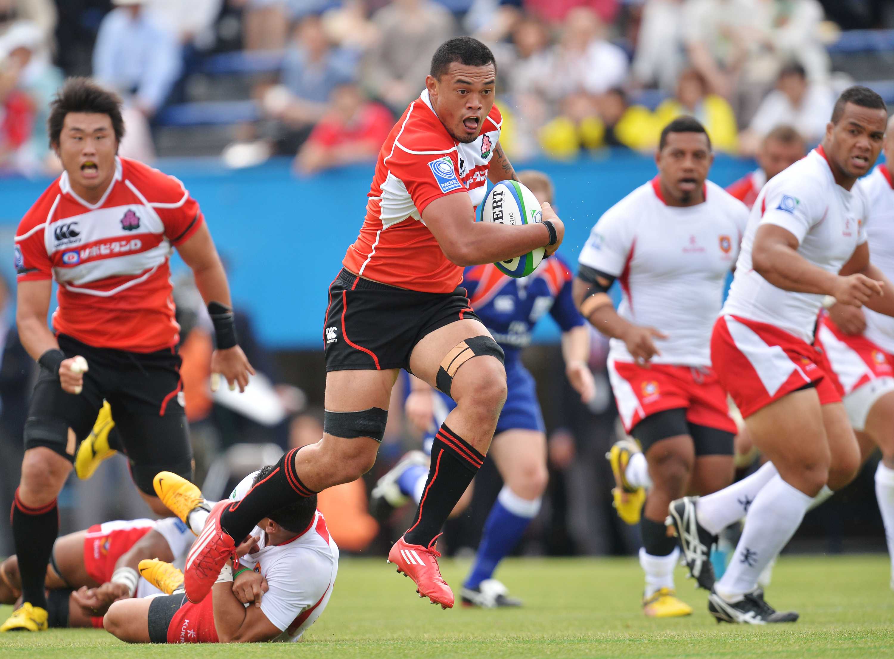 Queensland Reds still waiting for arrival of Japan international ...