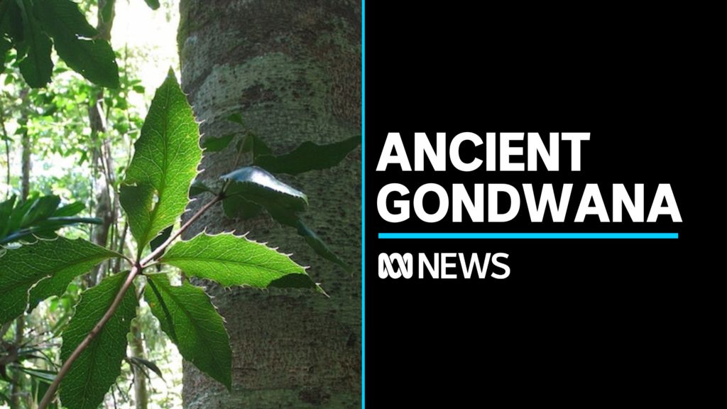 Celebrating and preserving Indian culture through food with Promila ...