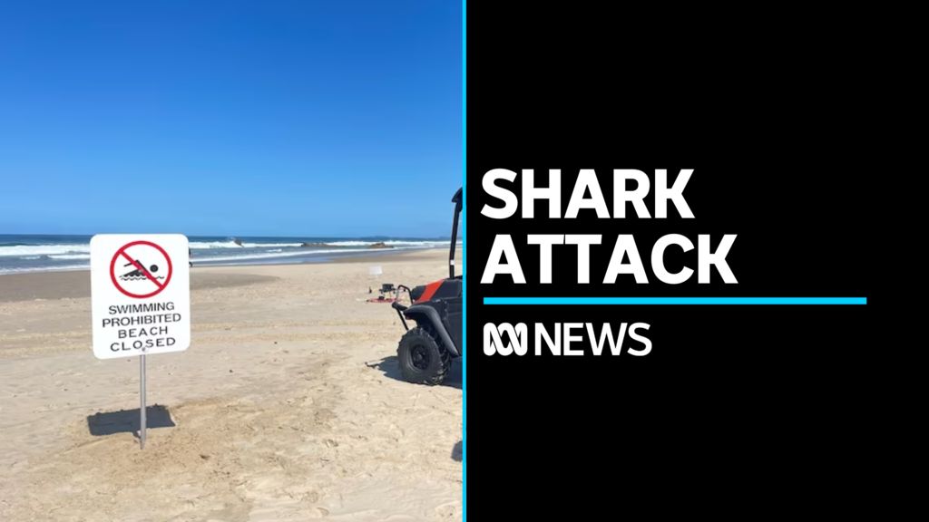 Man undergoing surgery after shark bite in mid-north NSW - ABC News
