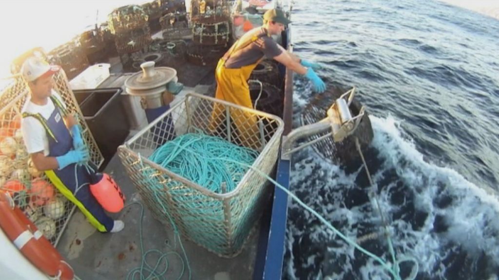 Ocean climate change hotspots mapped to help fishing industry adapt ...