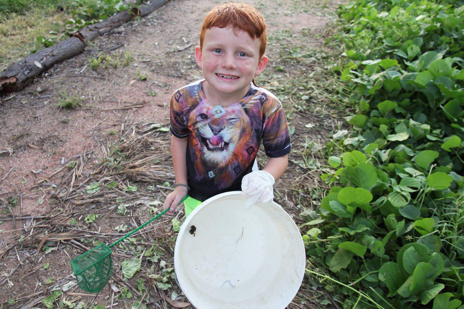 North Queensland drought causes lowest year on record for annual cane ...
