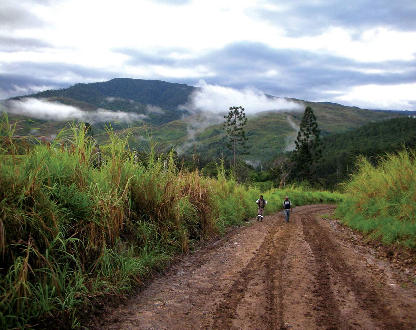 Black Cat Track: Australian trekkers share story of deadly attack ...