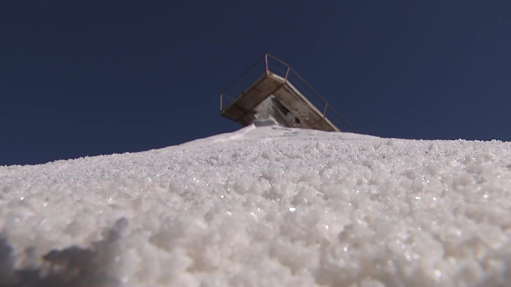 Salt Farmers: The farming family that can't get enough salt - ABC News