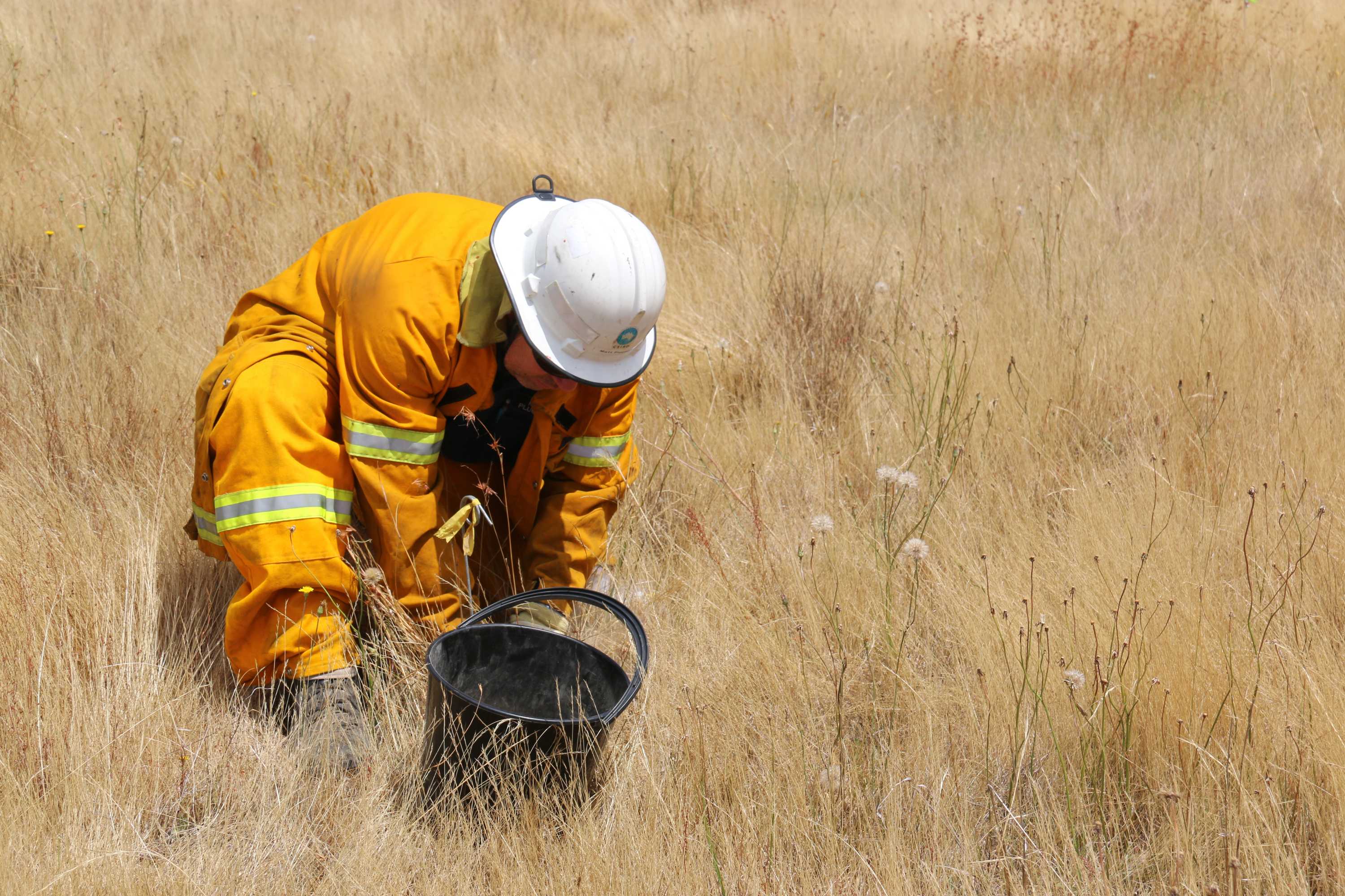 CSIRO researchers say bushfire prevention methods need to change - ABC News