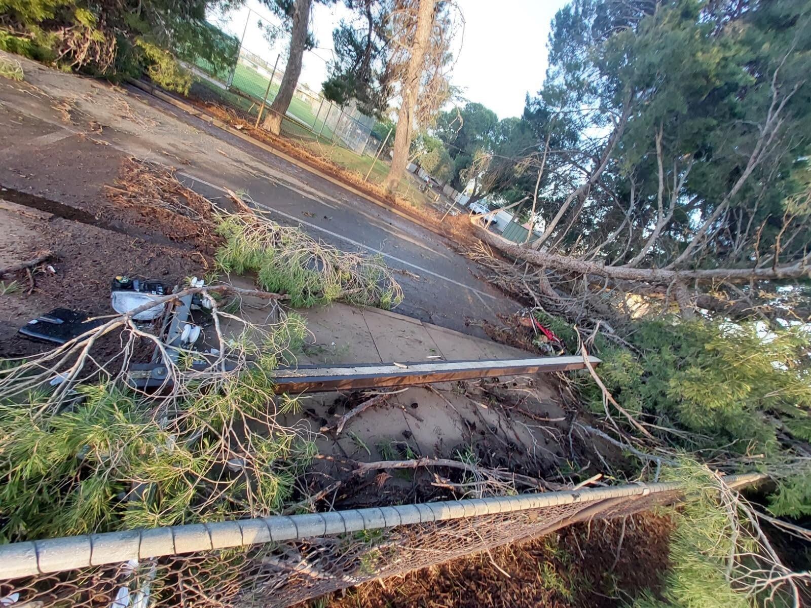 Storm and wind gusts of 119km/h damage homes, trees, powerlines at Port ...