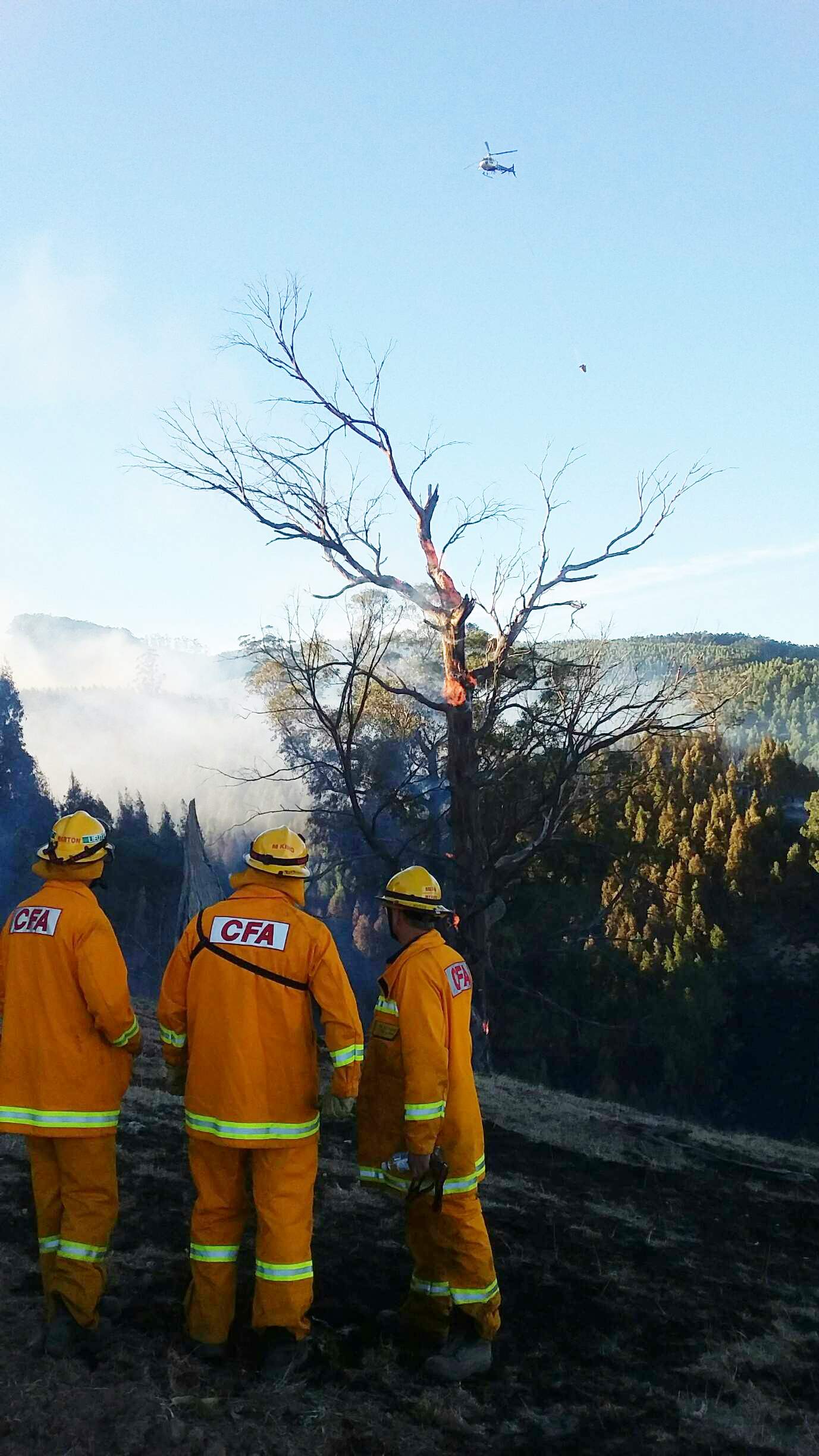 Dry bush and wind hampering firefighters at out-of-control Seaview ...