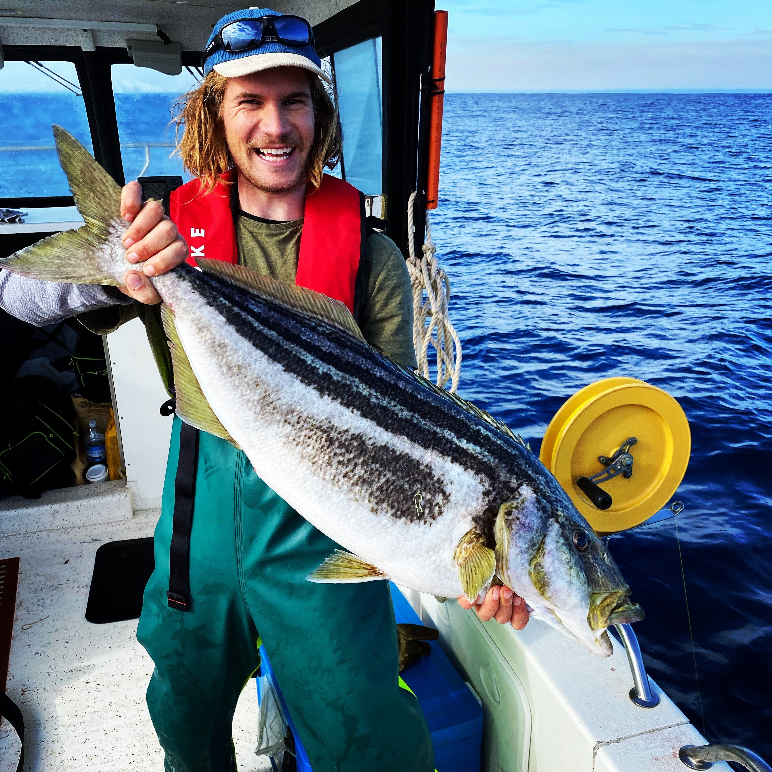 One of the oldest striped trumpeter ever recorded caught off the west ...