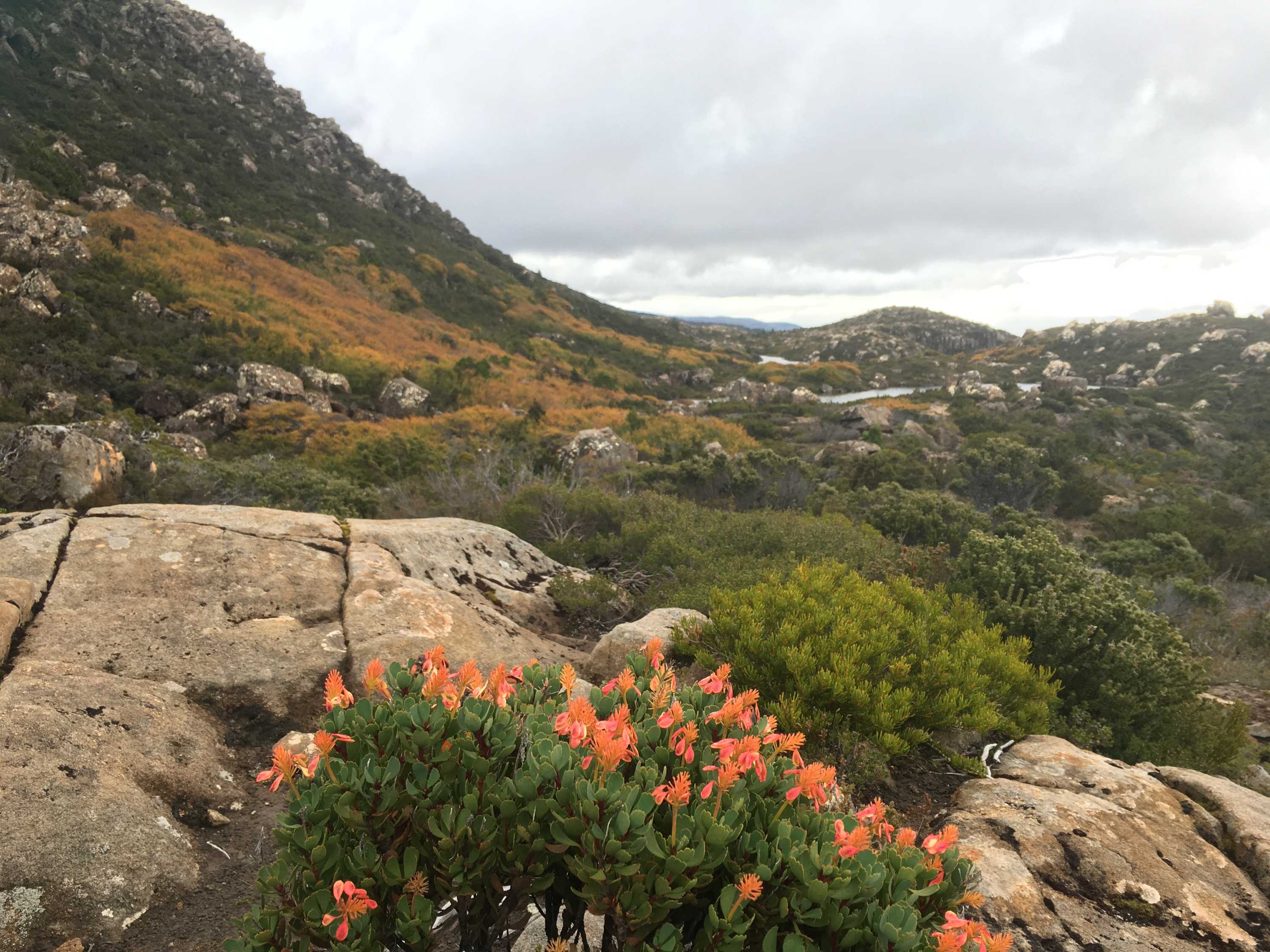 Drive for Wednesday - ABC listen