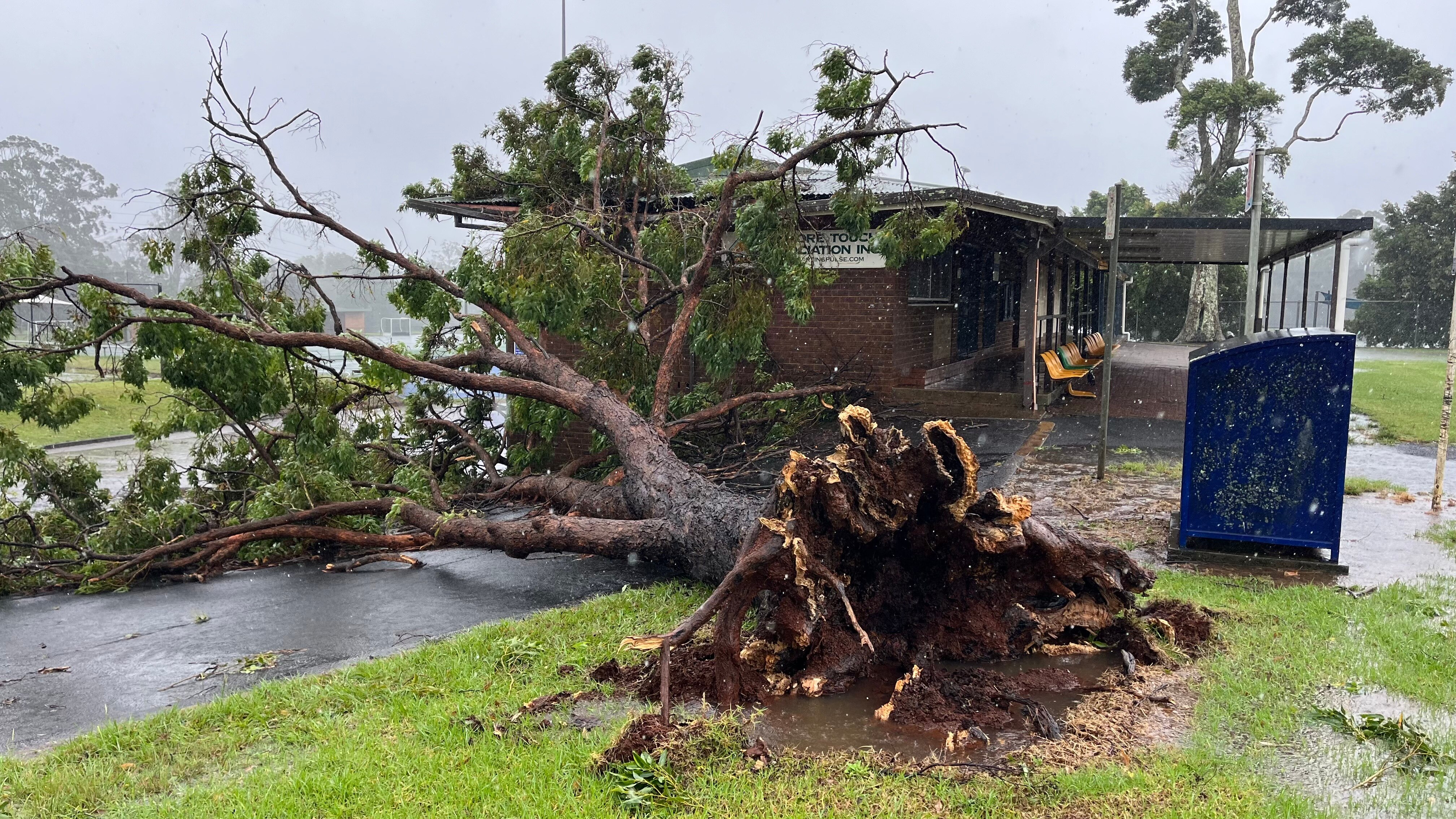 Ex-Tropical Cyclone Alfred brings heavy rain, dangerous weather ...