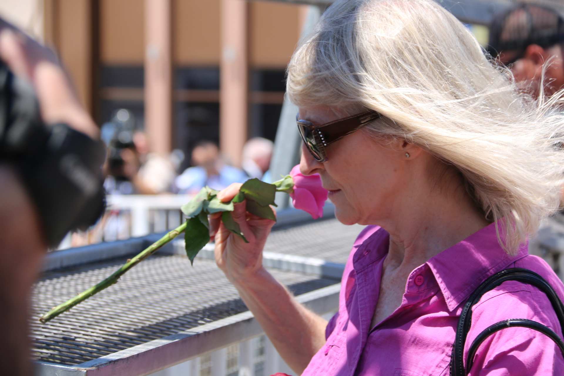 Granville train disaster: Remembering the Day of the Roses as 40-year ...