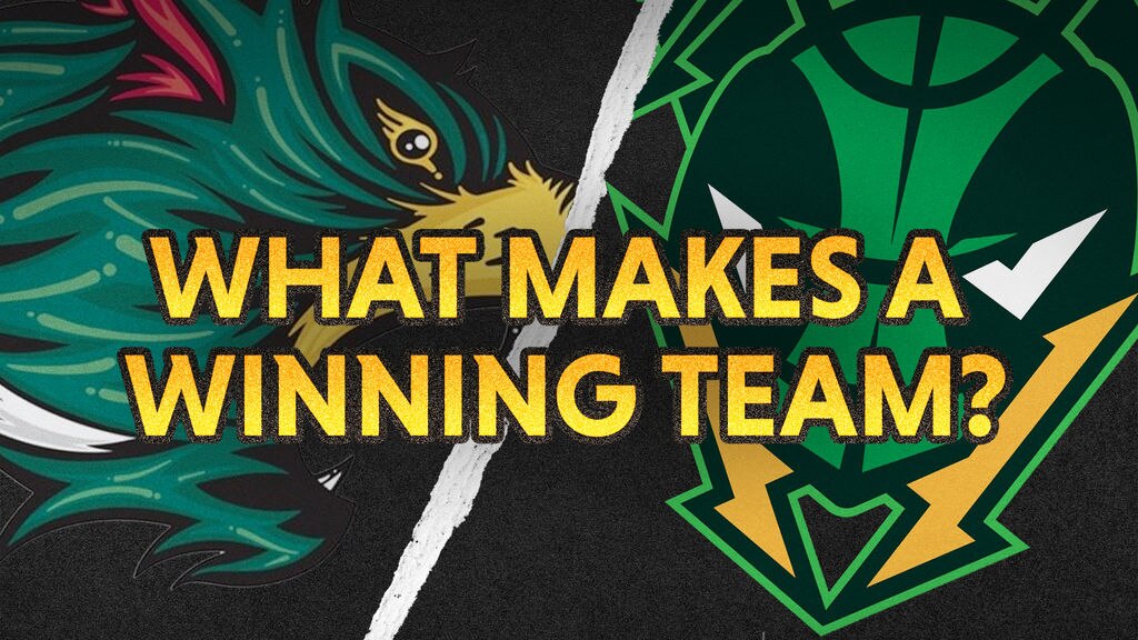 Will the team expansion of the sporting codes work? - ABC News