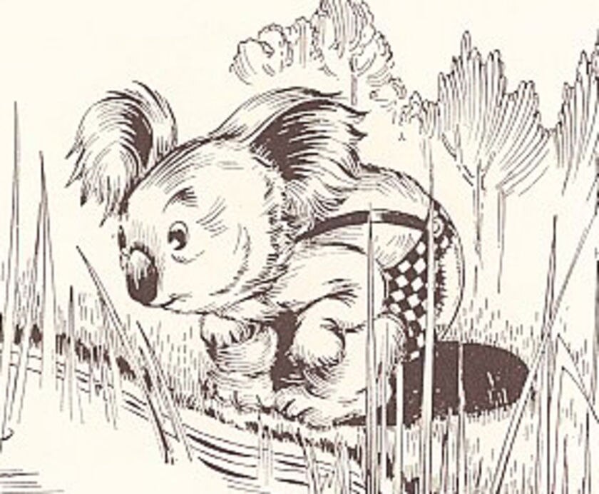 Hey hey, it's the original Blinky Bill - ABC News