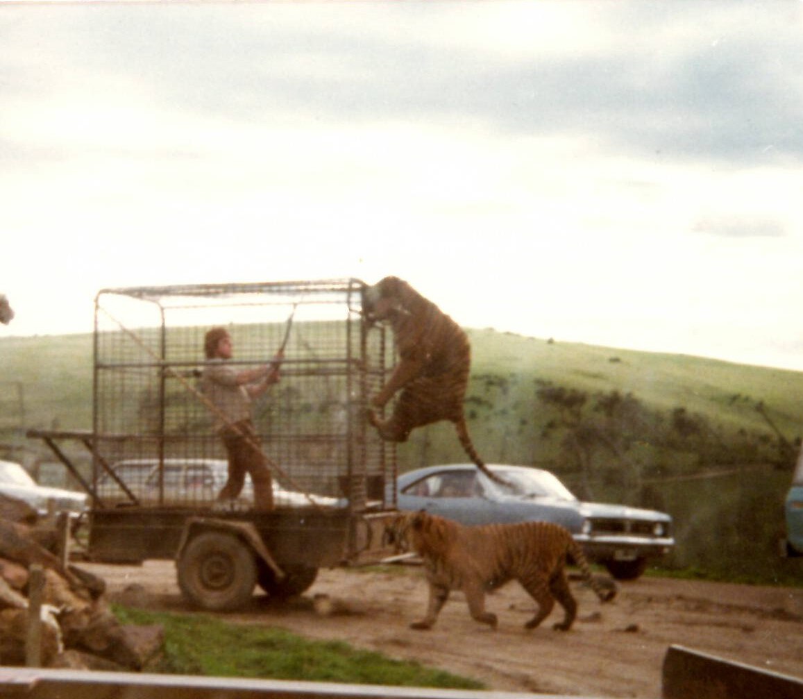 The Tiger King of Bacchus Marsh and the years of living dangerously ...