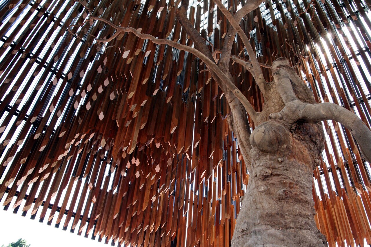 Award 'vindicates' Tree of Knowledge monument design - ABC News