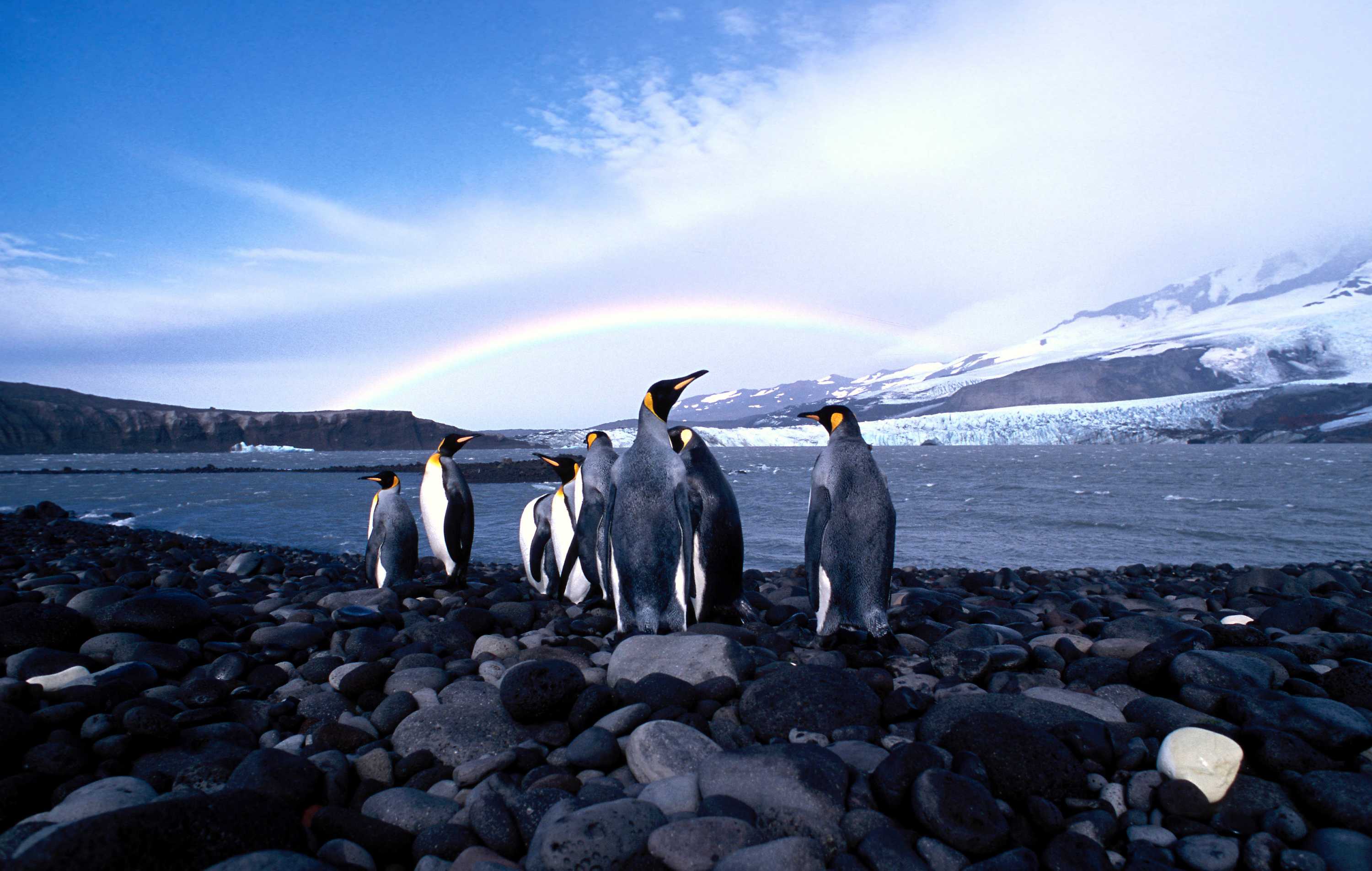 Australia's Heard Island: A mysterious land of fire and ice - ABC News