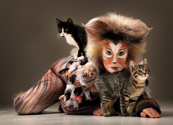 In defence of Cats, the mystical feline musical many love to hate - ABC ...