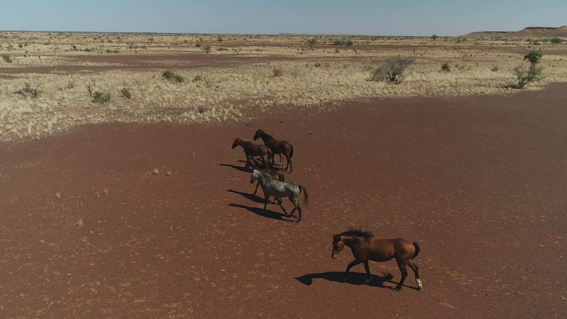 Locals hope Balgo Tourist Road will give visitors first taste of ...