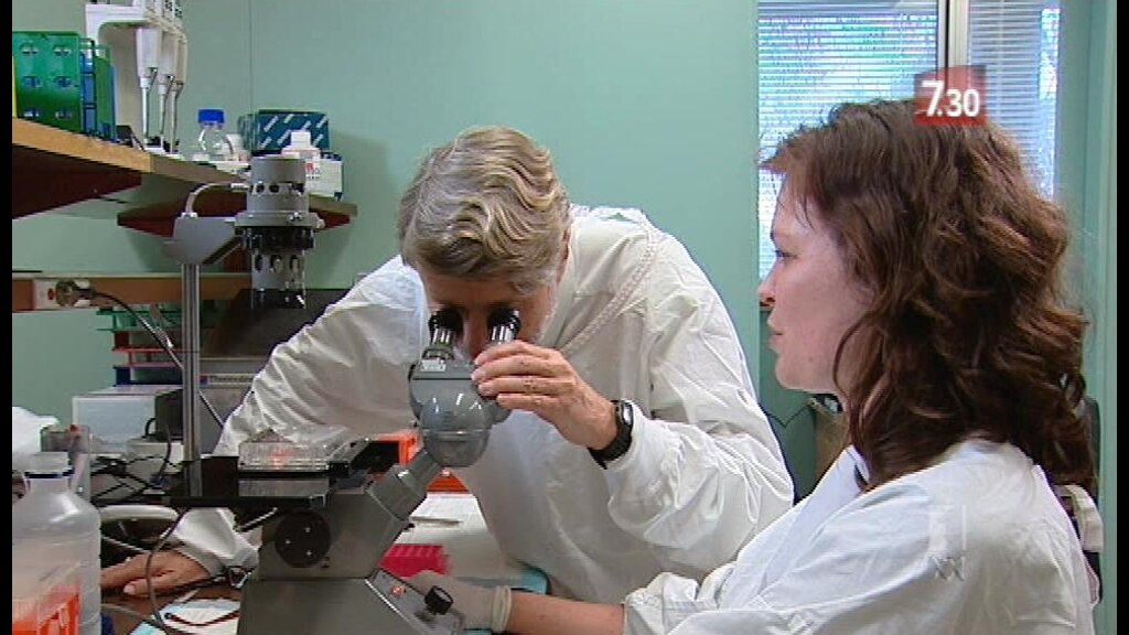 Scientists take a step towards finding MS cure - ABC News