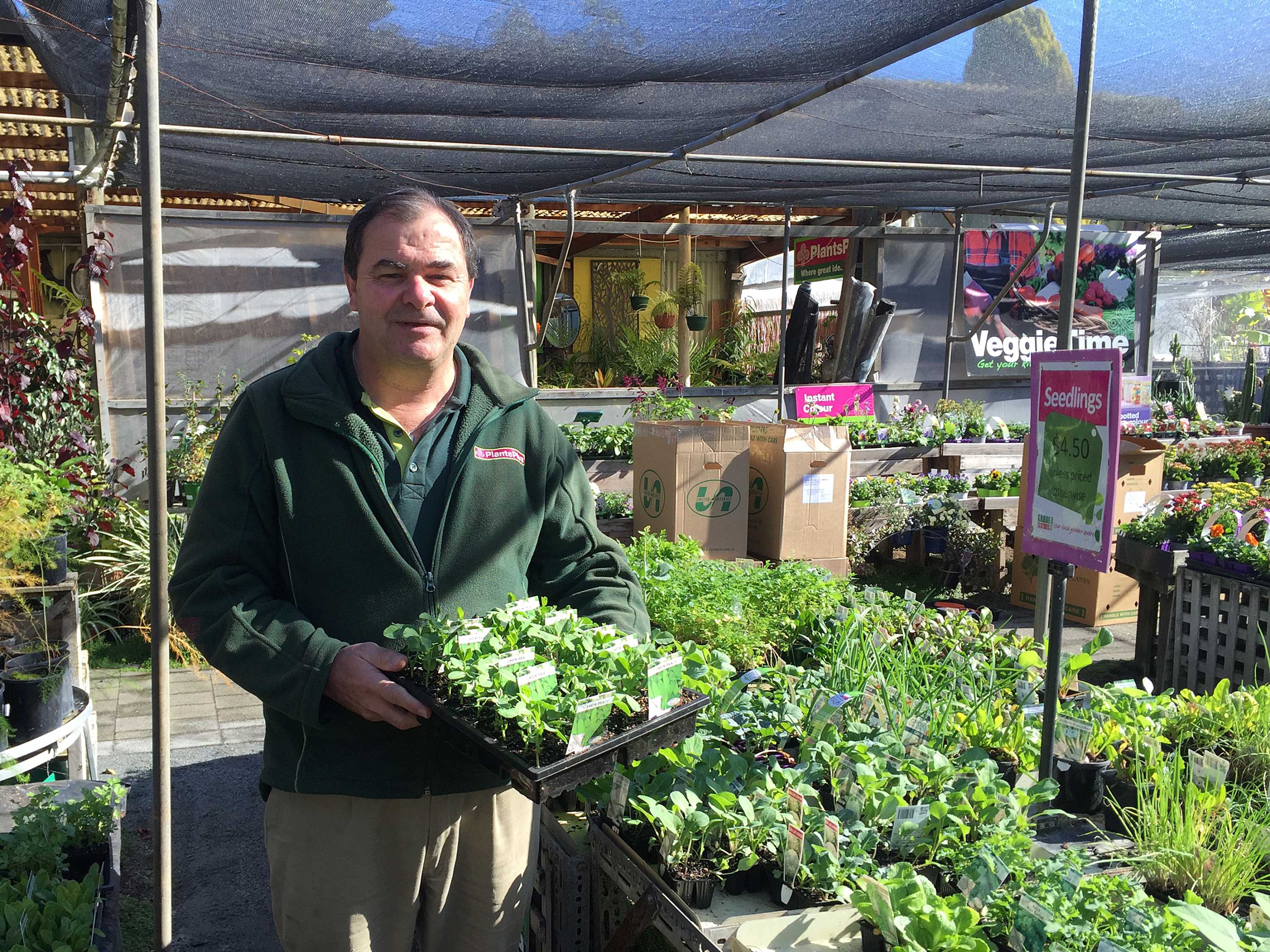 Dry season gamble for Eyre Peninsula farmers - ABC News